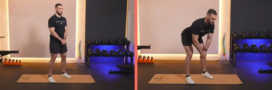 Exercises For Lower Back Pain: A Back Health Masterclass