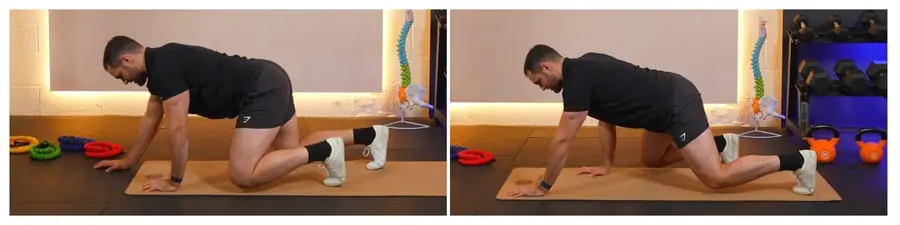 Bird Dog Tutorial: Core Exercise For Low Back Pain & Sciatica