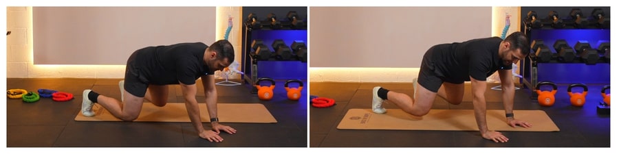 Bird Dog Tutorial: Core Exercise For Low Back Pain & Sciatica