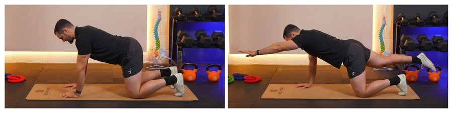 Bird Dog Tutorial: Core Exercise For Low Back Pain & Sciatica