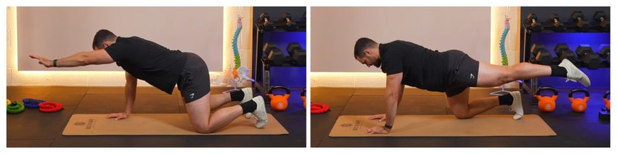 Bird Dog Tutorial: Core Exercise For Low Back Pain & Sciatica