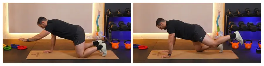 Bird Dog Tutorial: Core Exercise For Low Back Pain & Sciatica