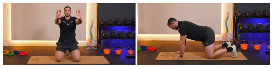 Bird Dog Tutorial: Core Exercise For Low Back Pain & Sciatica